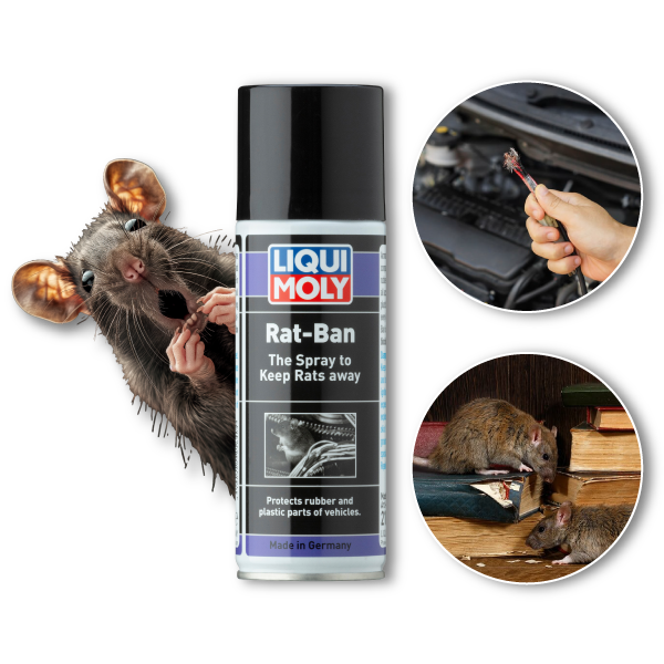 Liqui Moly South Africa | Oils, Additives & Vehicle Care